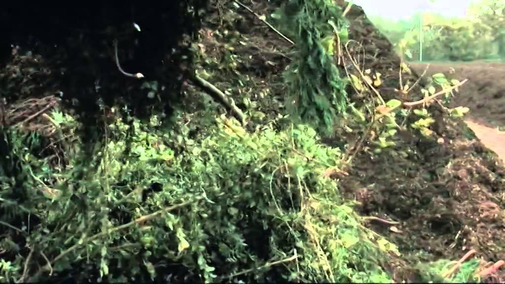 BACKHUS 17-series - YouTube