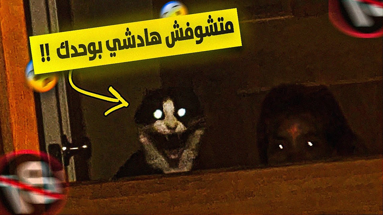 أكثر اللحظات المرعبة التي التقطتها كاميرات المراقبة 😱🚨 Youtube