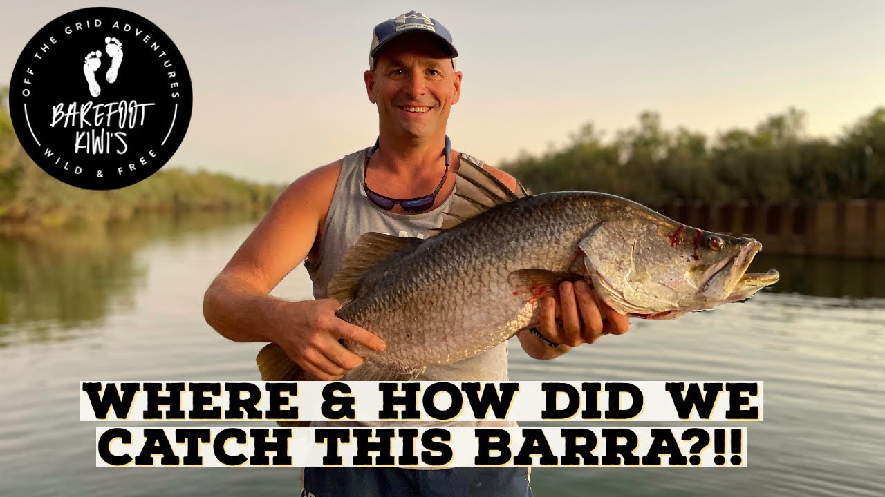 Everyday life on the road Australia || Camping off grid || Fishing for ...