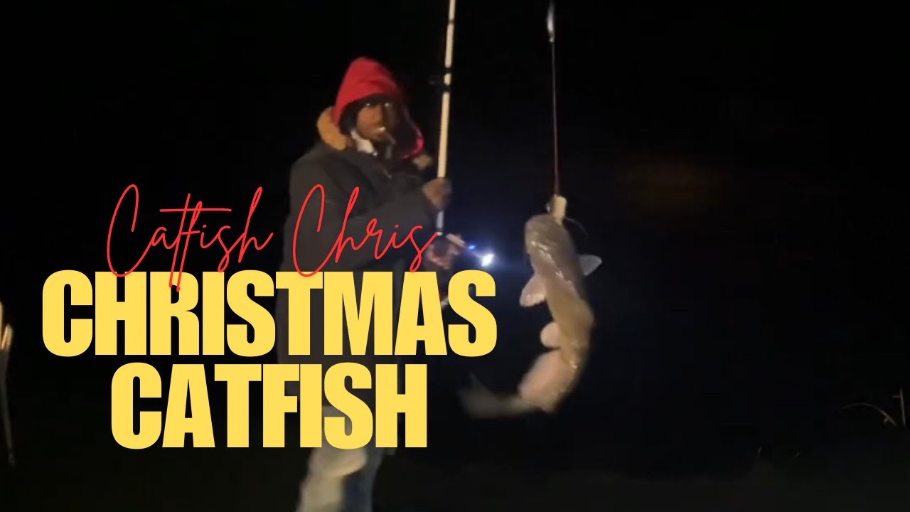 CHRISTMAS CATFISH !! 🎄🐟 - YouTube