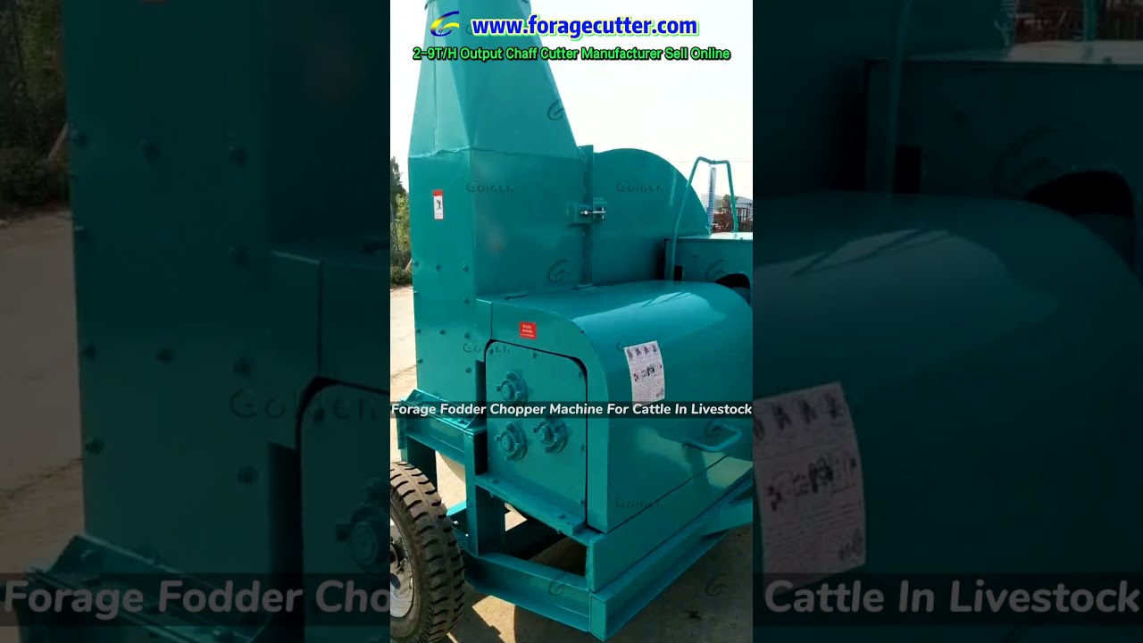 Forage Fodder Chopper Machine For Cattle In Livestock - YouTube