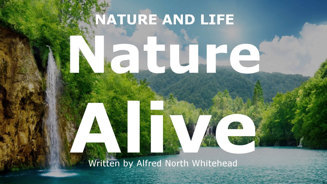 Process Philosophy: Nature Alive (Part 2) by Alfred North Whitehead ...