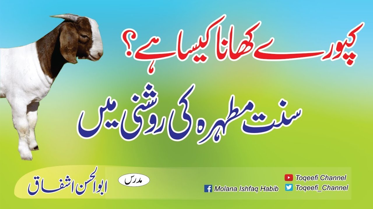 Kapory Khana Kaisa Ha? By Abul Hasan Ishfaq کپورے کھانا کیسا ہے؟ - YouTube