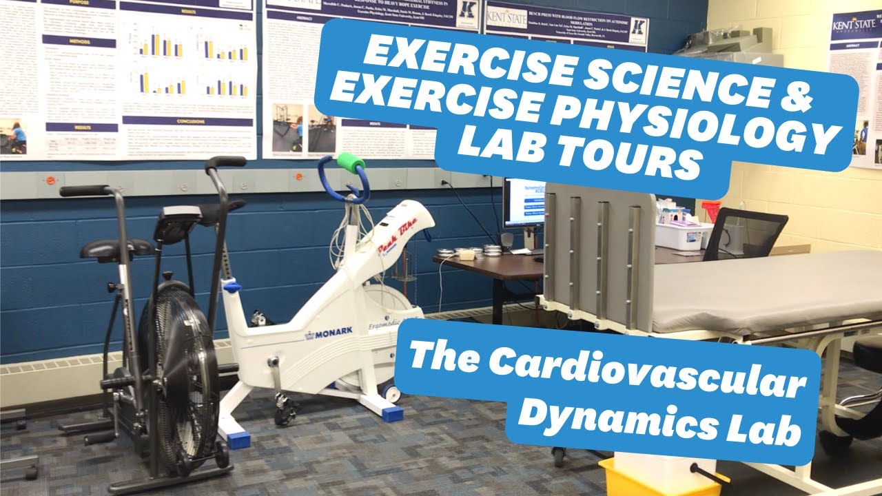 The Cardiovascular Dynamics Lab - YouTube