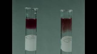 Cell Biology - The Cytoplasm (1988)