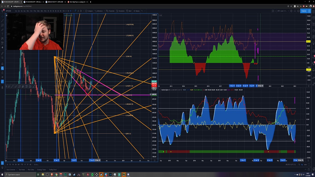 This Is The Beginning of The Bull Market [BTC] (Insert Moon Boy ...