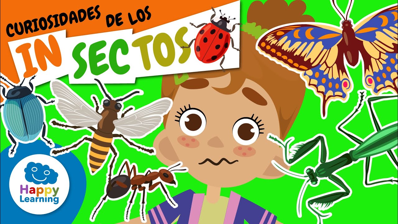 🐞🪲 Aprende TODO sobre LOS INSECTOS | Vídeos Educativos para Niños de ...