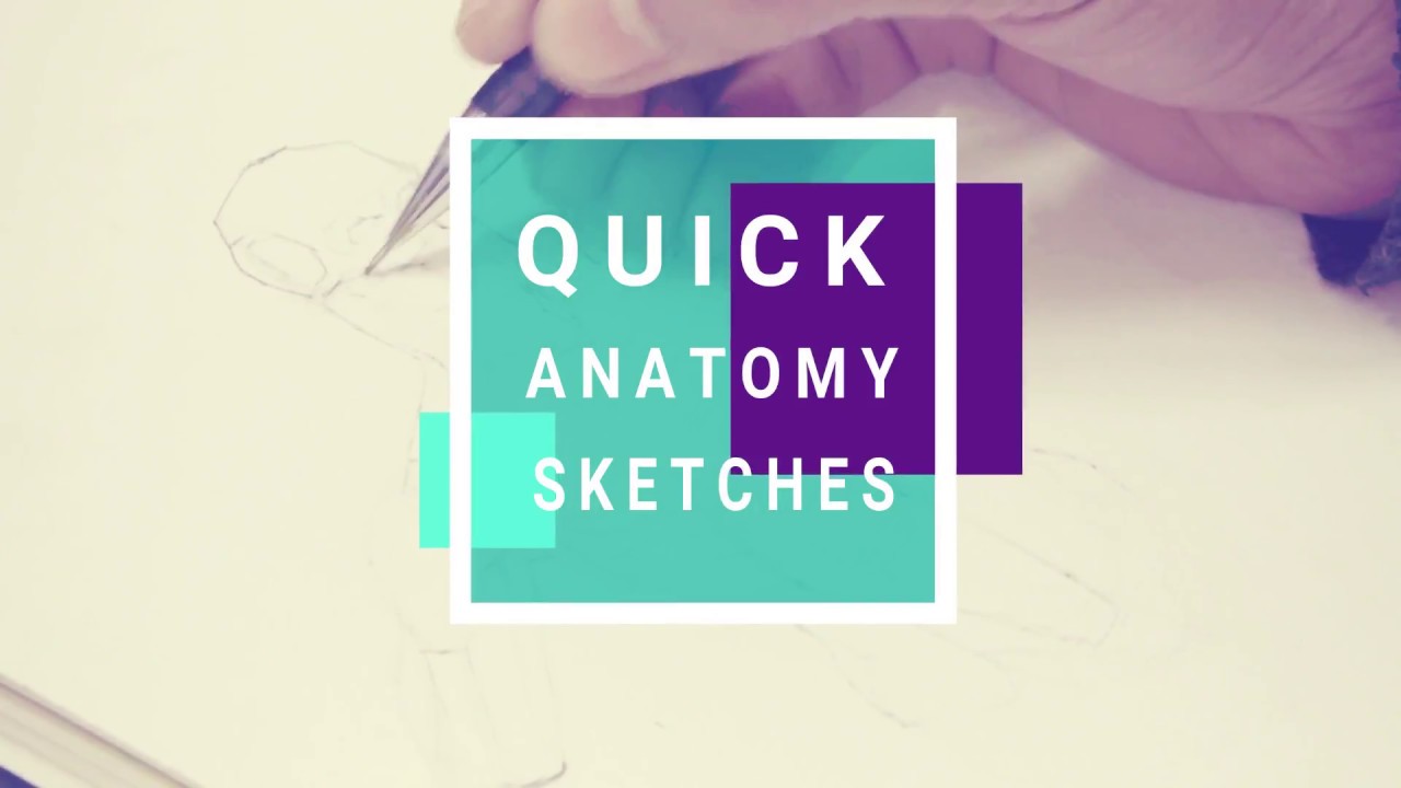 Pencil Anatomy sketches by Monologish - YouTube