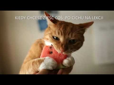 Koty [ MEM ] - YouTube