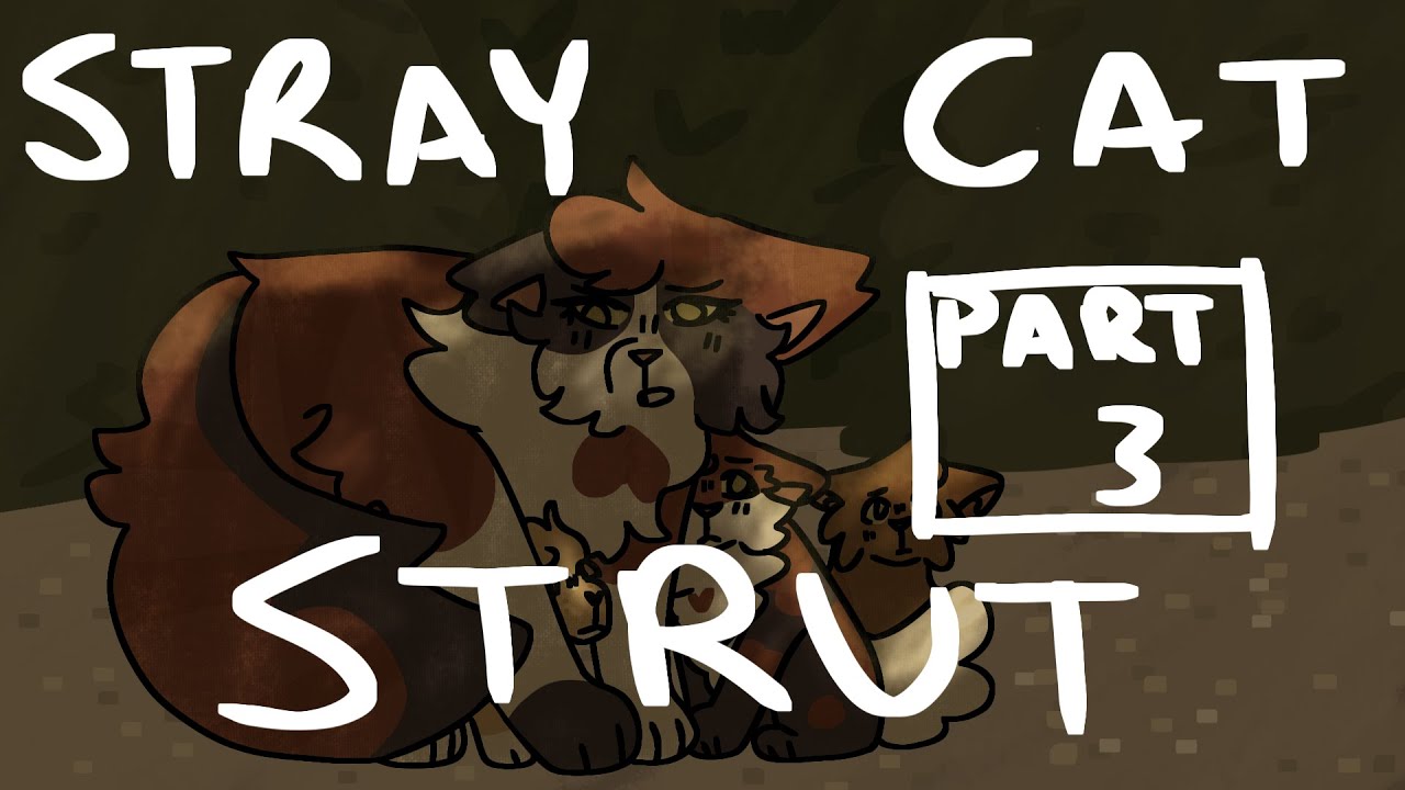 STRAY CAT STRUT -Part 3 - YouTube