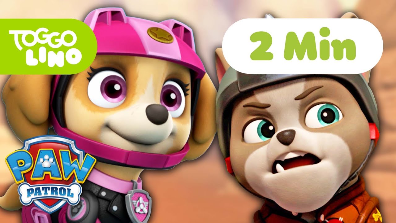 PAW Patrol Deutsch | Mitglied der Ruff-Ruff Gang | Helfer auf vier ...