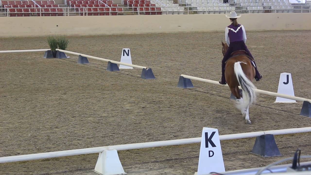 07/03/16 - Cowboy Dressage - Walk, Jog, Lope Challenge Test 1 - YouTube