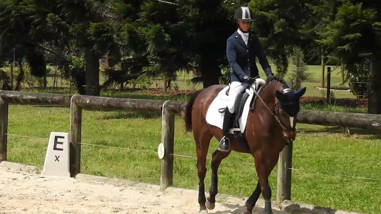 introductory test B - YouTube