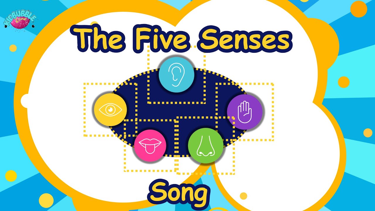 Five Senses Song for Kids | Learn About Sight, Hearing, Touch, Taste ...