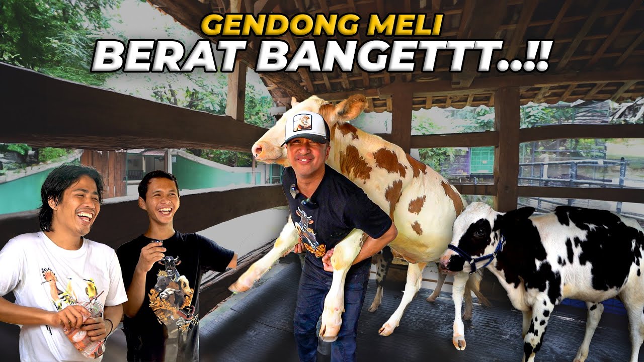 BANYAK YANG GAK TAU KALO KANDANG MELI DAN MIMI AKAN DIGANTIKAN HEWAN ...