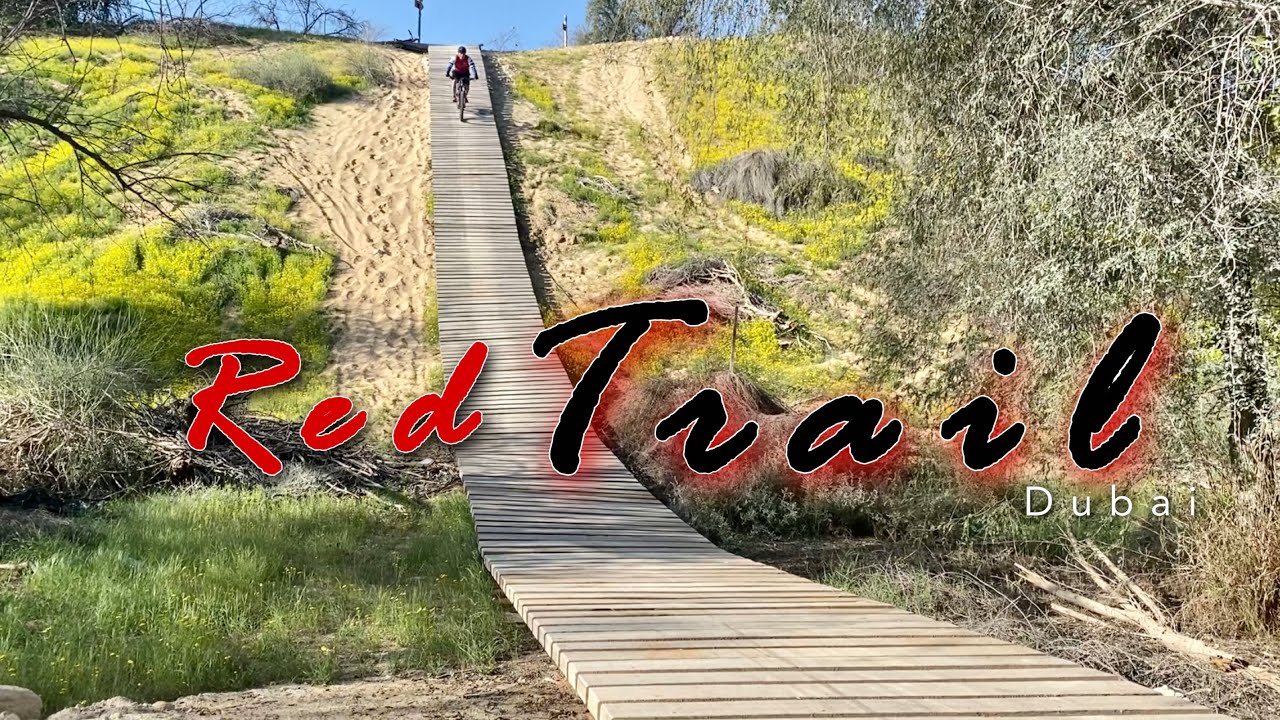 ENDURO MTB RED TRAIL in DUBAI #gianttrance #yeti #specialized - YouTube