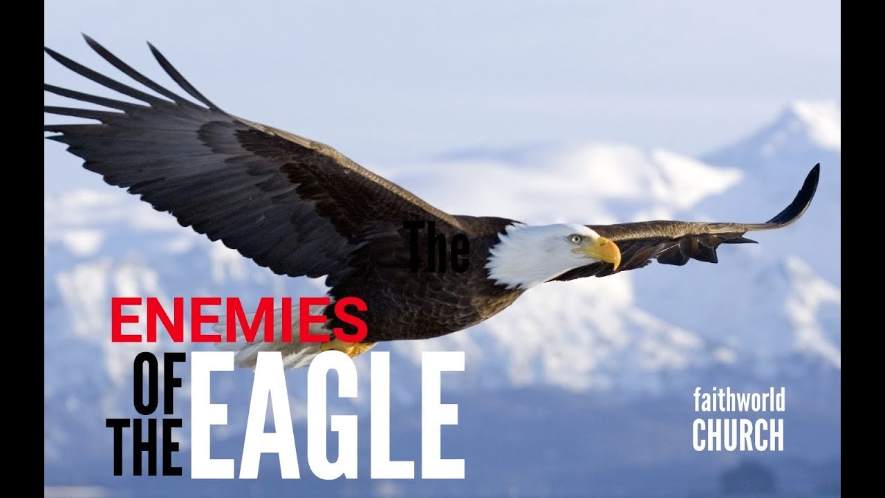 Enemies Of The Eagle - YouTube