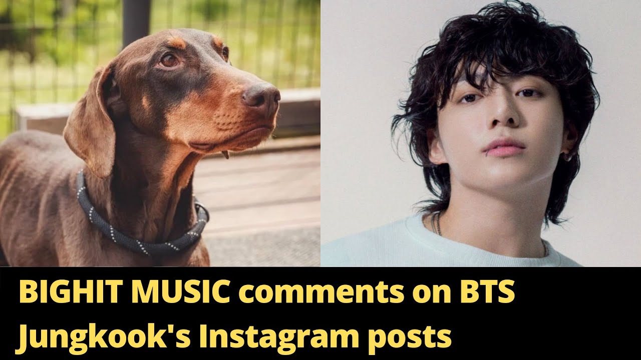 BIGHIT MUSIC comments on BTS Jungkook's Instagram posts - YouTube
