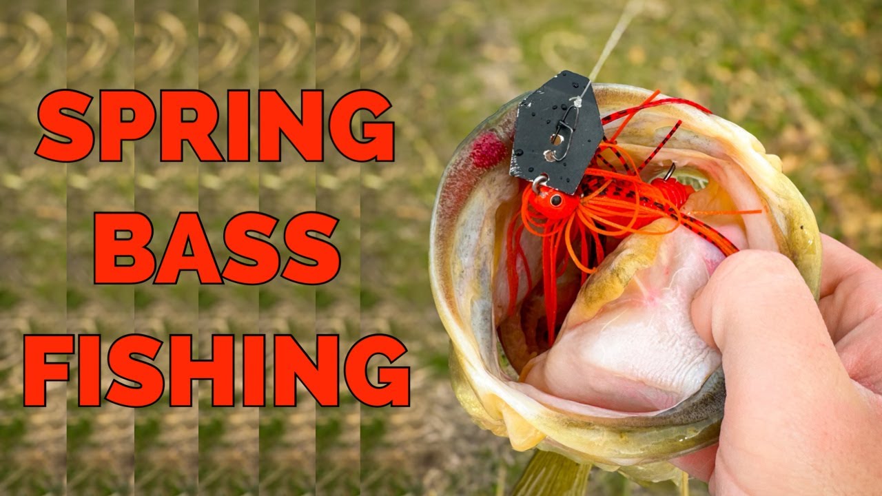 Spring Time Bass Fishing - Pond Hopping for Pre-Spawn Bass - YouTube