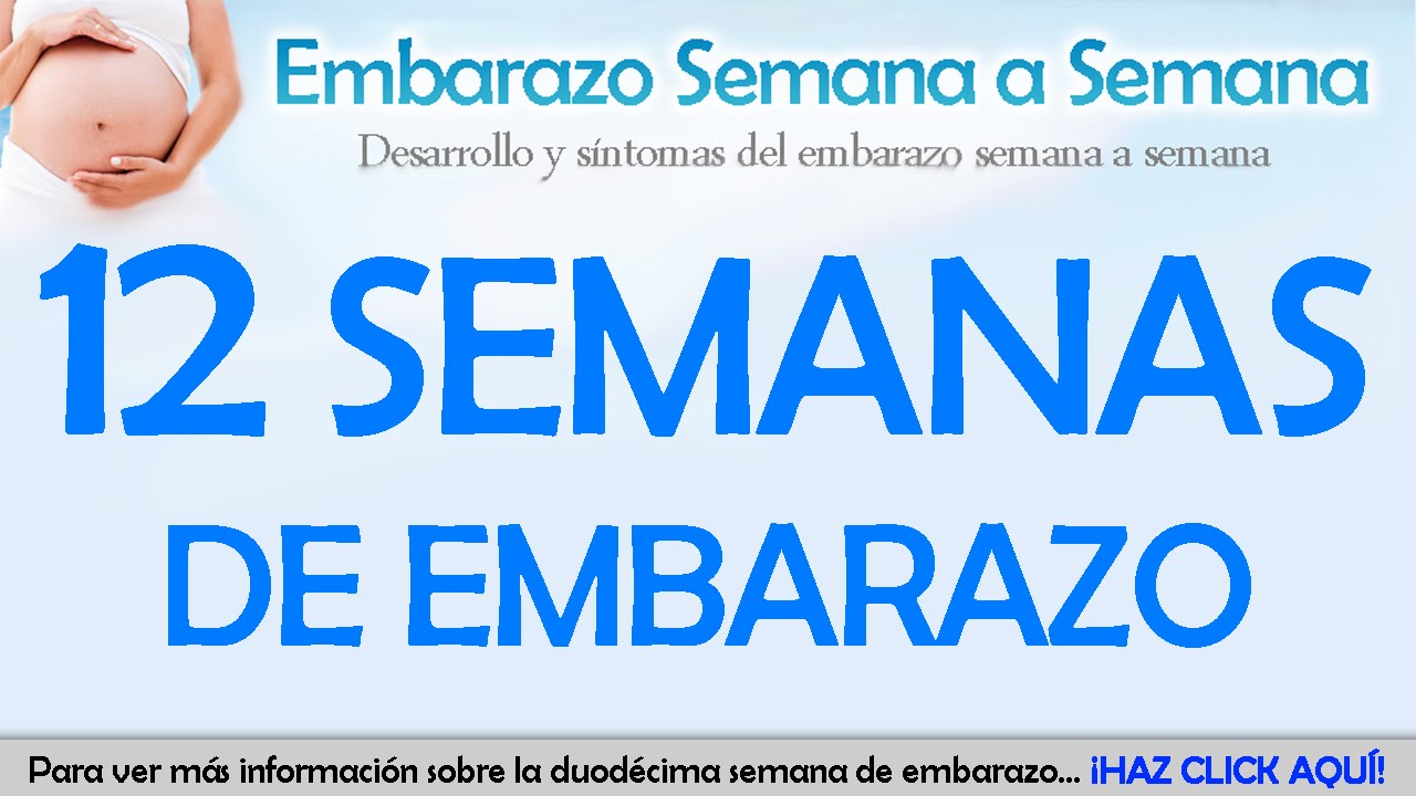 12 Semanas de embarazo | El embarazo semana a semana - YouTube
