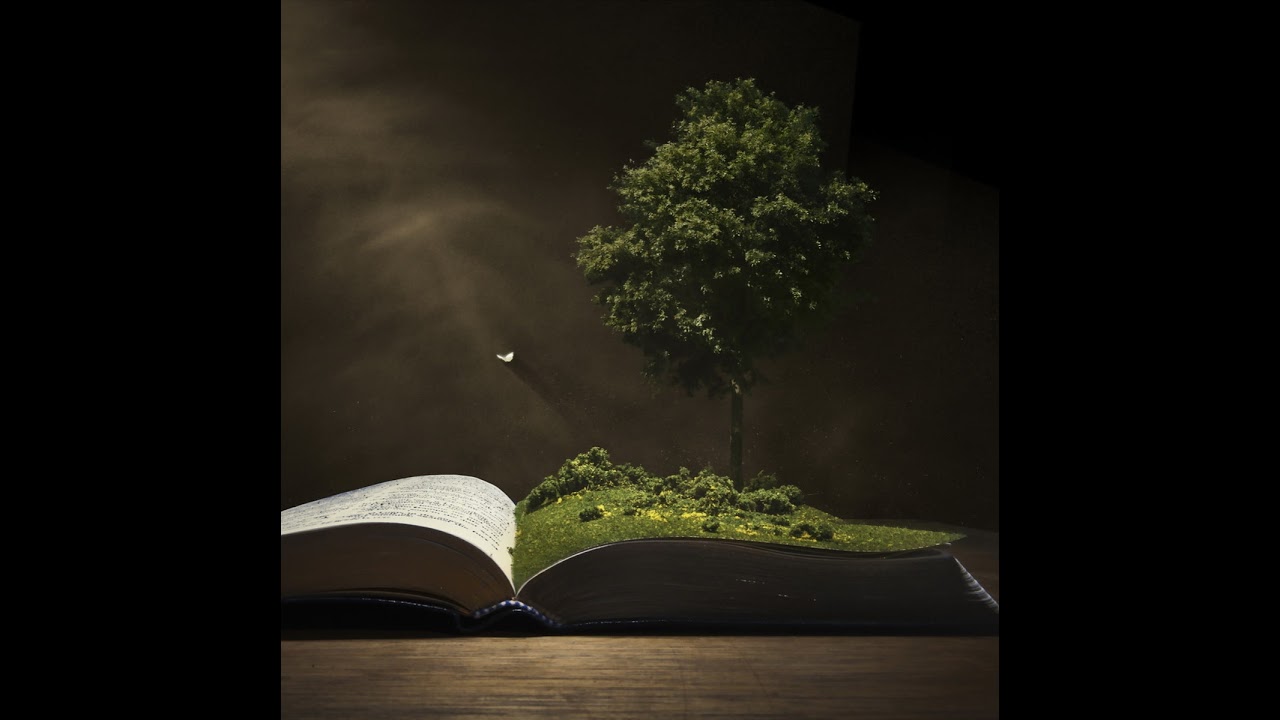 STUDY WITH ANSH Live Stream - YouTube