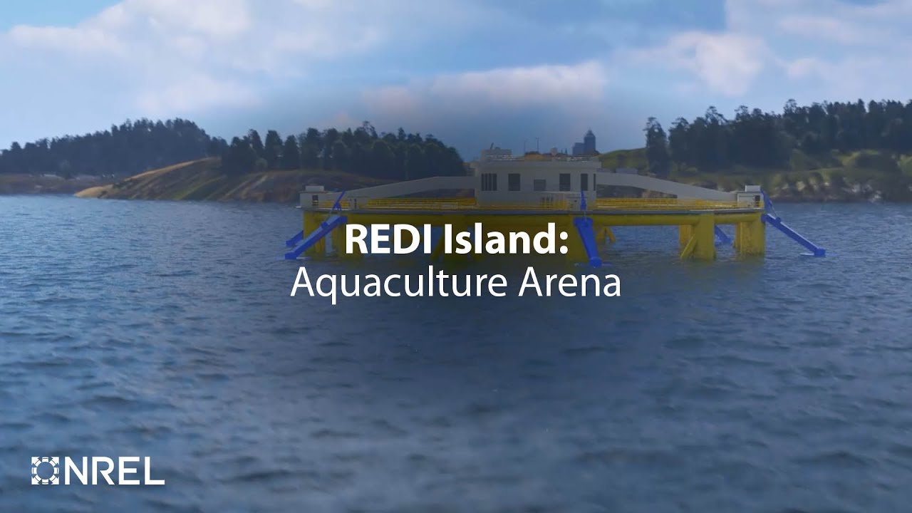 REDi Island: Aquaculture Arena - YouTube