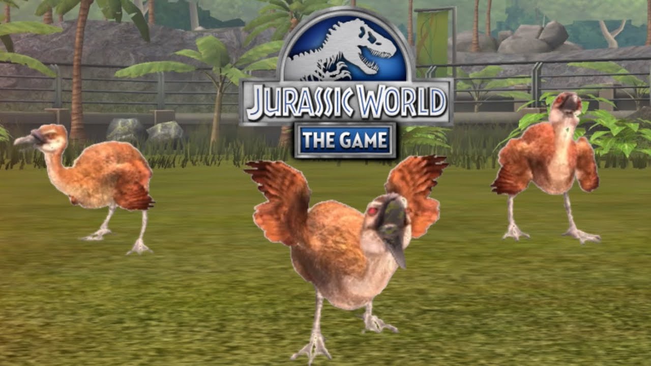 Rodrigues Solitaire | Jurassic World The Game Datamine - YouTube