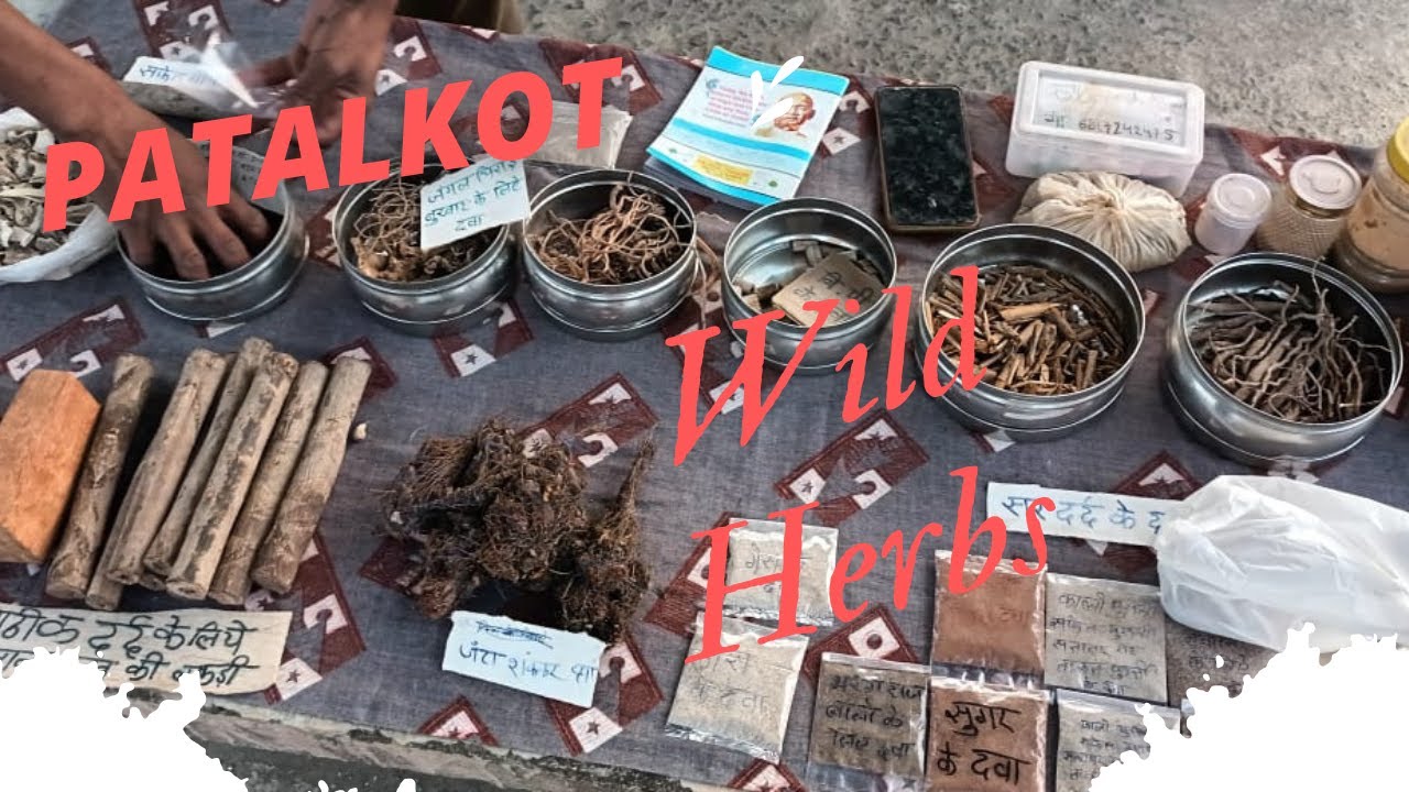 Patalkot, Bhariya Tribes: Traditional Medicinal Plants Knowledge by ...