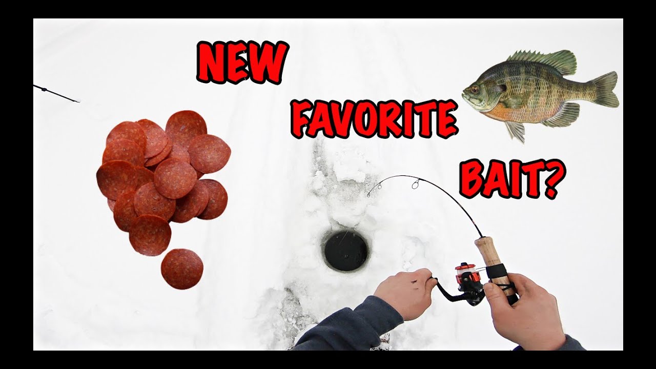 Fish Biting Pepperoni - YouTube