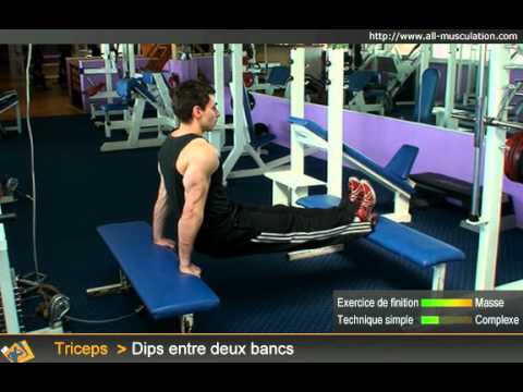 DIPS ENTRE 2 BANCS - REVERSE DIPS - YouTube