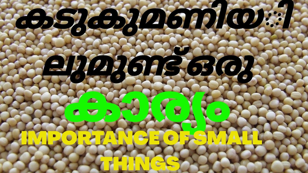 കടുകുമണിയിലുമുണ്ട് ഒരു കാര്യം, IMPORTANCE OF SMALL THINGS - YouTube