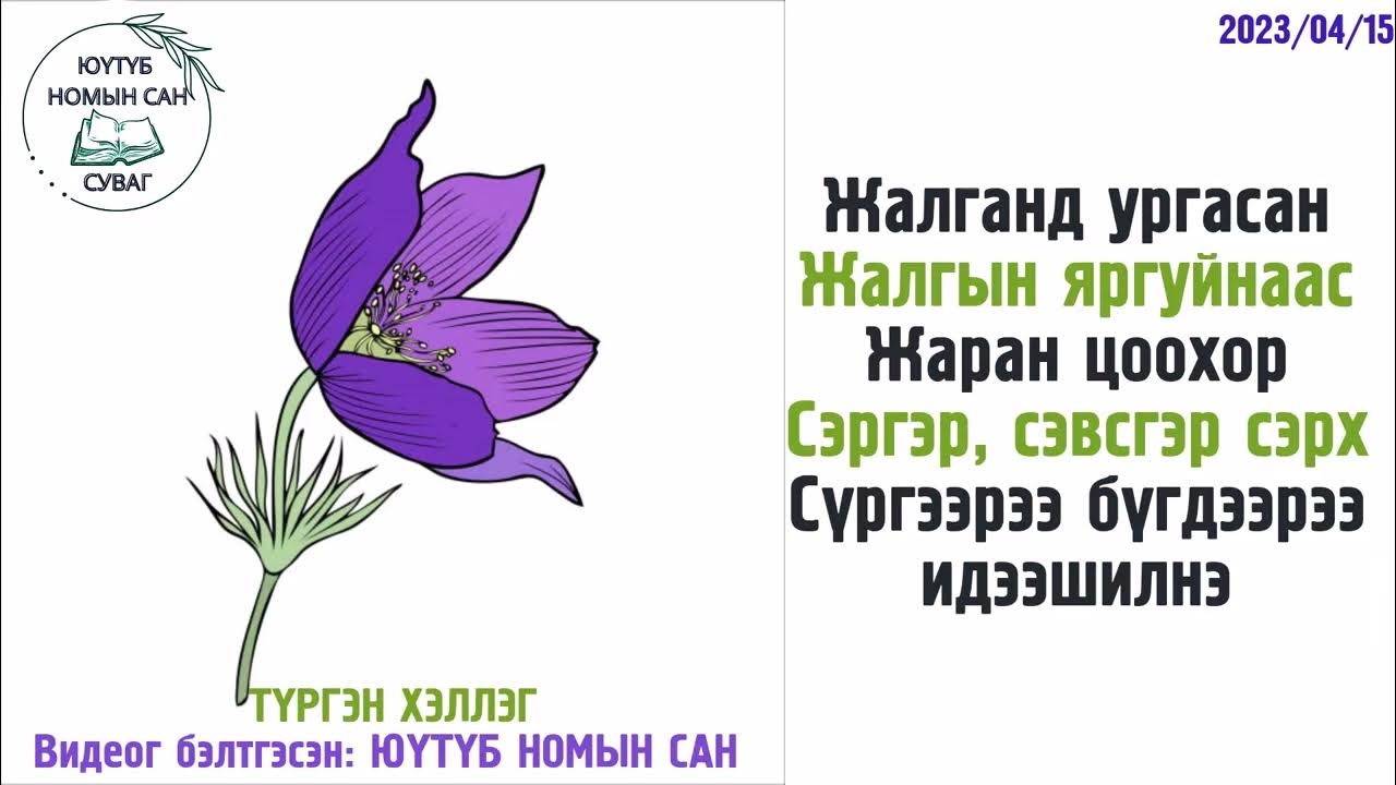 ЯРГУЙ ТҮРГЭН ХЭЛЛЭГ Youtube