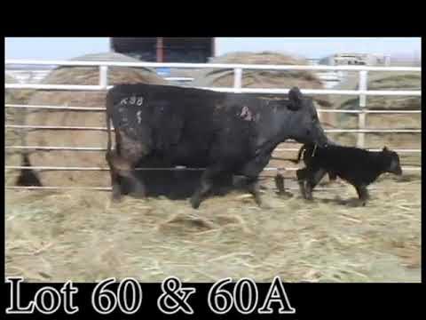 Lot 60 and 60A - YouTube