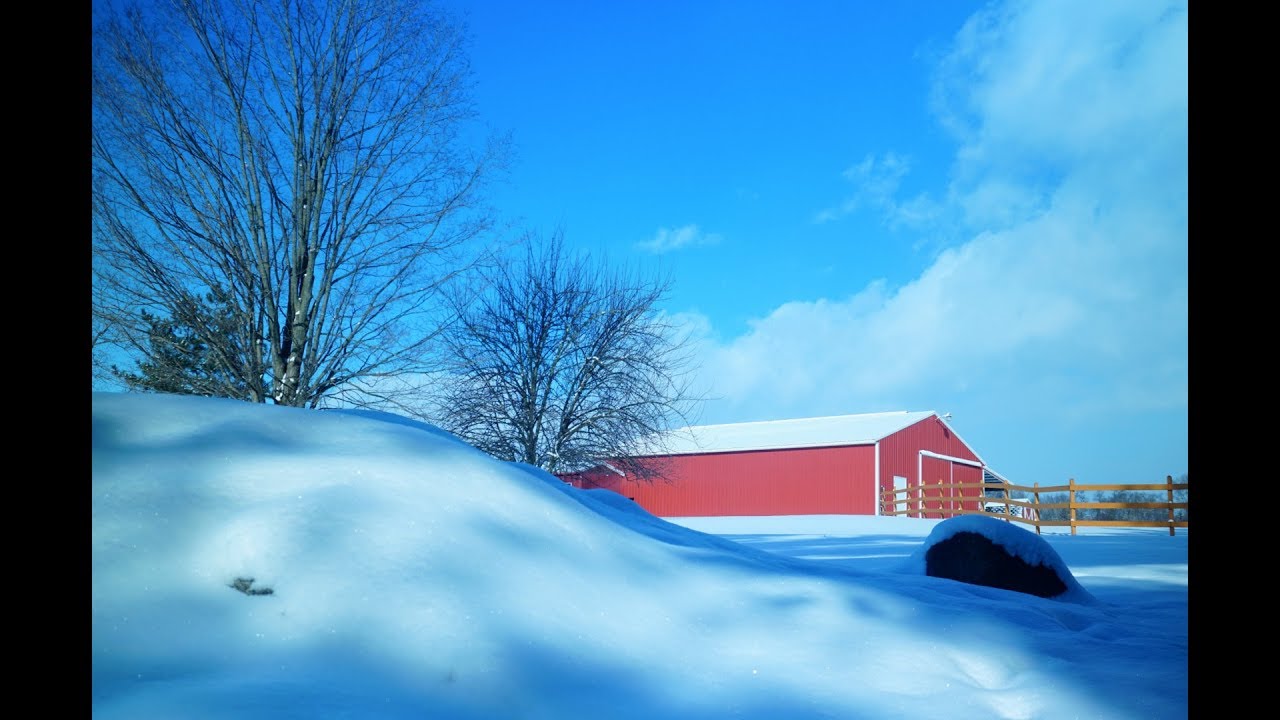 Winter Polar Vortex Photography in Michigan I Maybury Park - YouTube