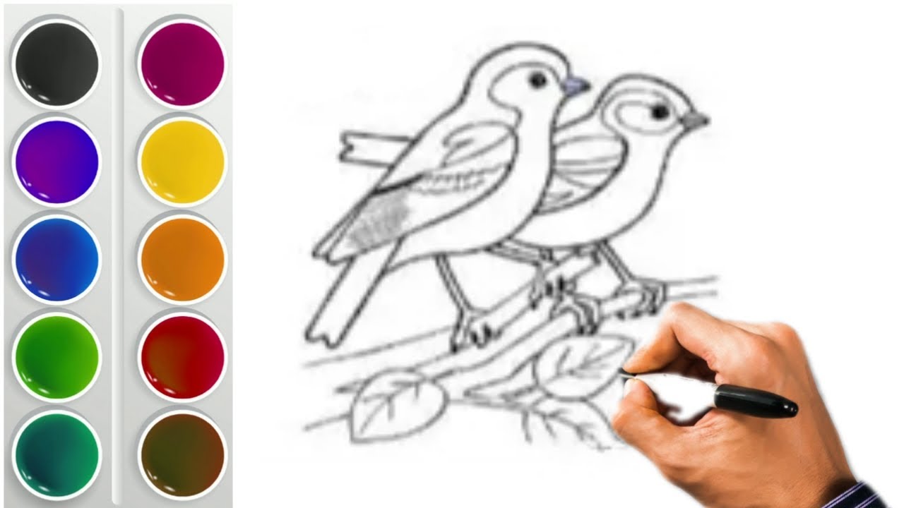 How to draw a Sparrow 🐦 / easy Sparrow bird drawing step by step - YouTube