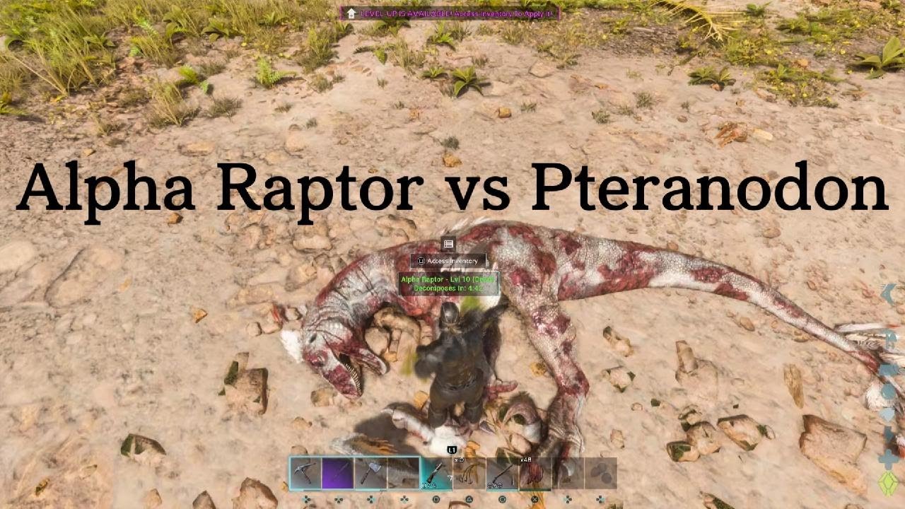 ASA How to kill an Alpha Raptor with a Pteranodon - YouTube