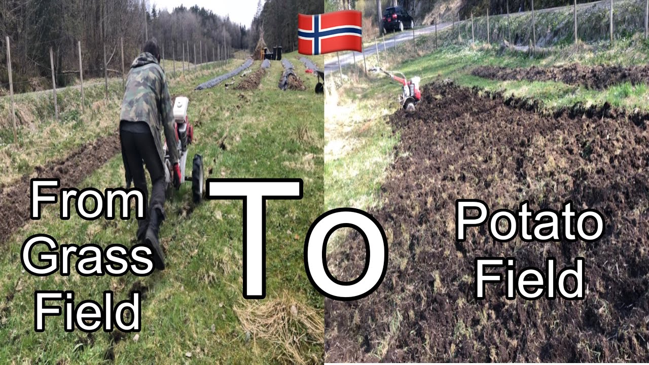 Land Preparation For Planting Potato Part 1 : From grass field to ...