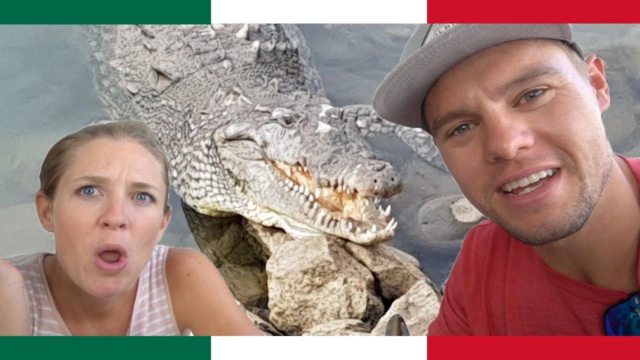 Crocodile Infested Beaches in Puerto Vallarta!? - YouTube