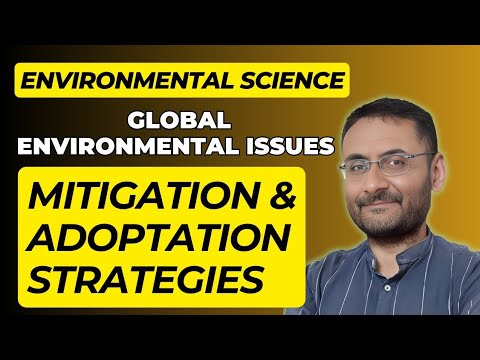 Mitigation Strategy | Adaptation Strategy | Global Environmental Issue ...