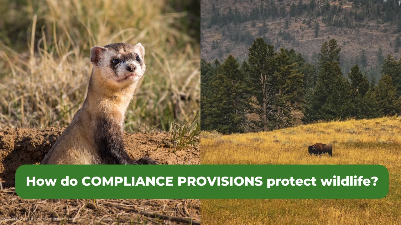 Farm Bill 101: Conservation Compliance Provisions - YouTube