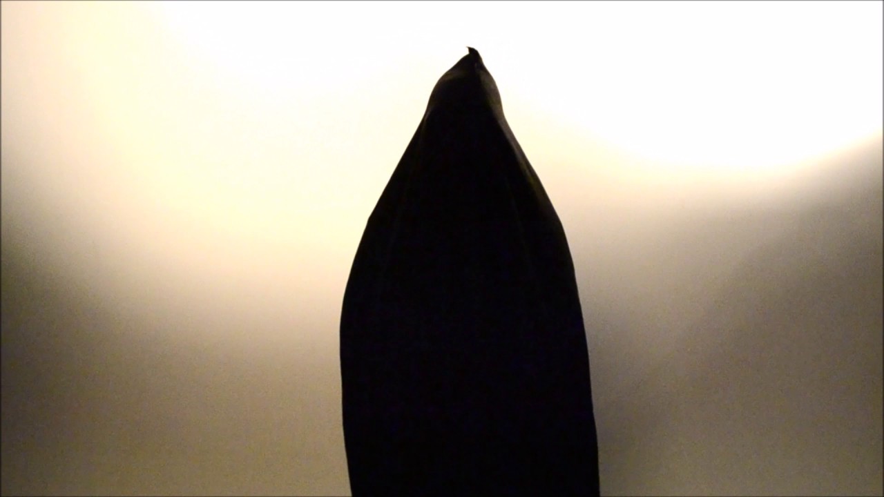 Meg The Black Ghost - YouTube