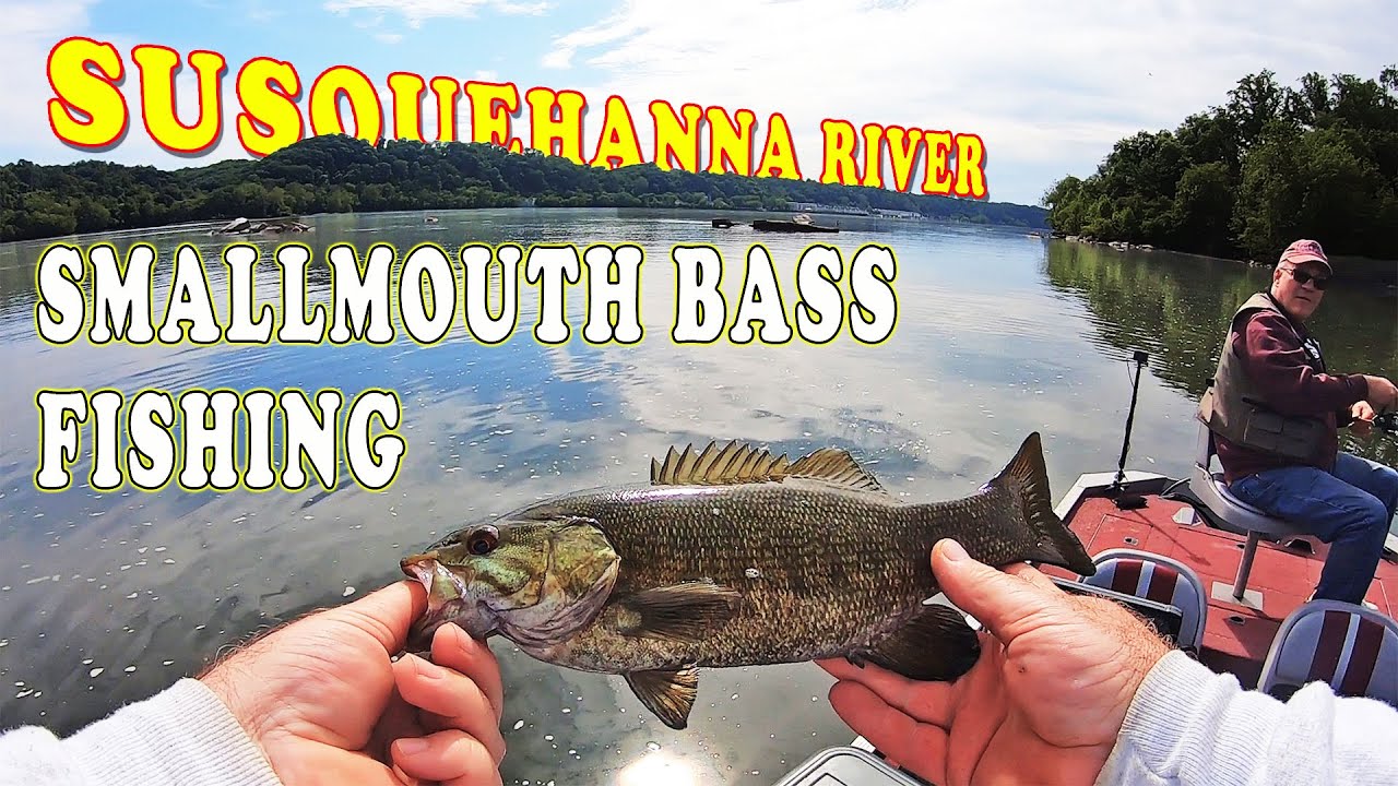 Susquehanna river smallmouth bass fishing. - YouTube