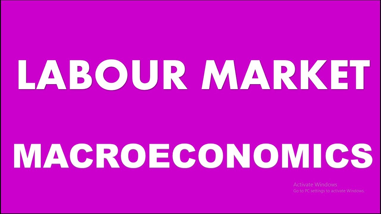 Labour Market I Macroeconomics - YouTube