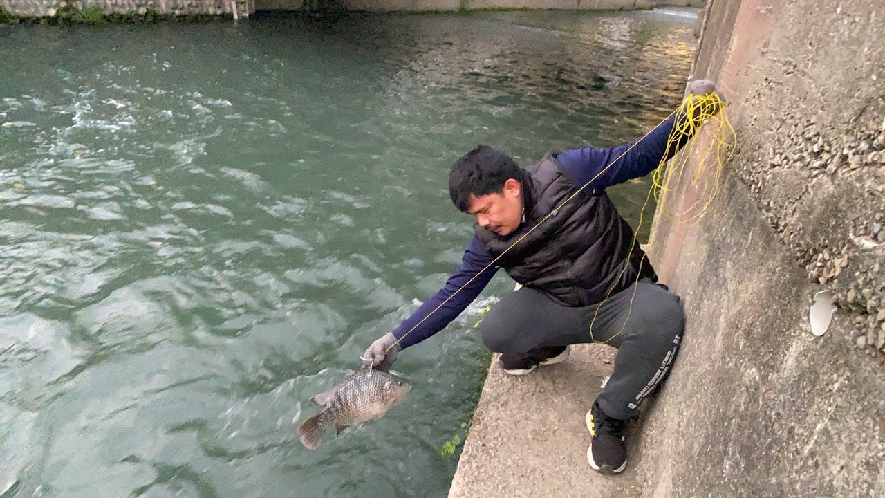 Amazing huge fish snagging - YouTube