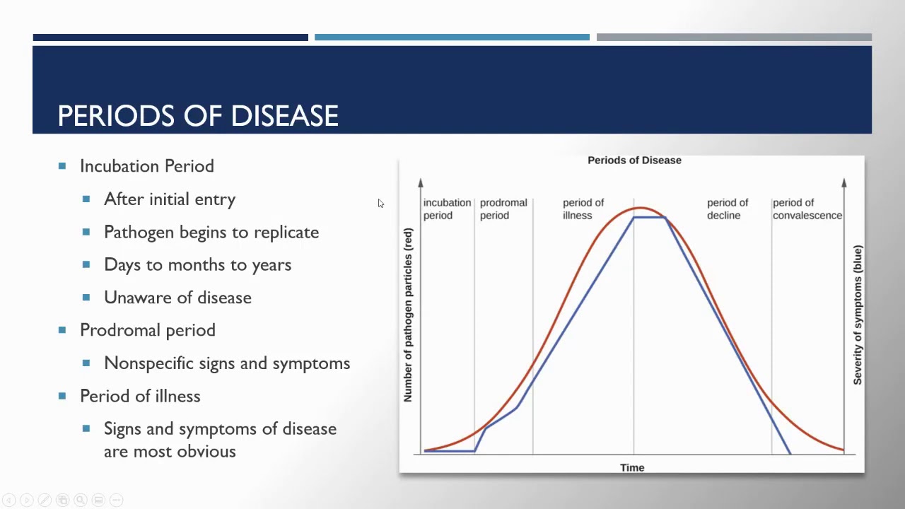 Bio 225 Chapter 15 Microbial Mechanisms of Pathogenicity - YouTube