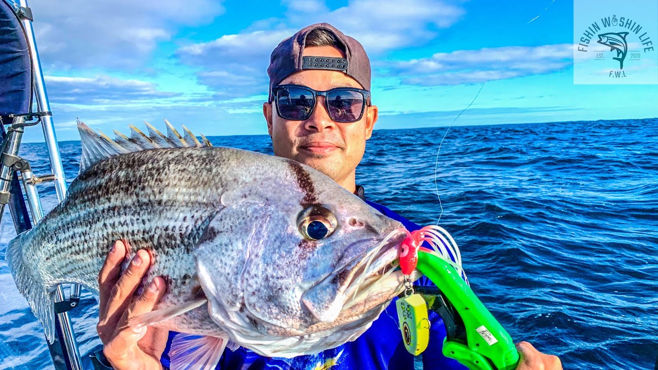 EP 35 | INSANE FISHING OFF TWO ROCKS (WHEN NEW GROUND PAYS OFF ...