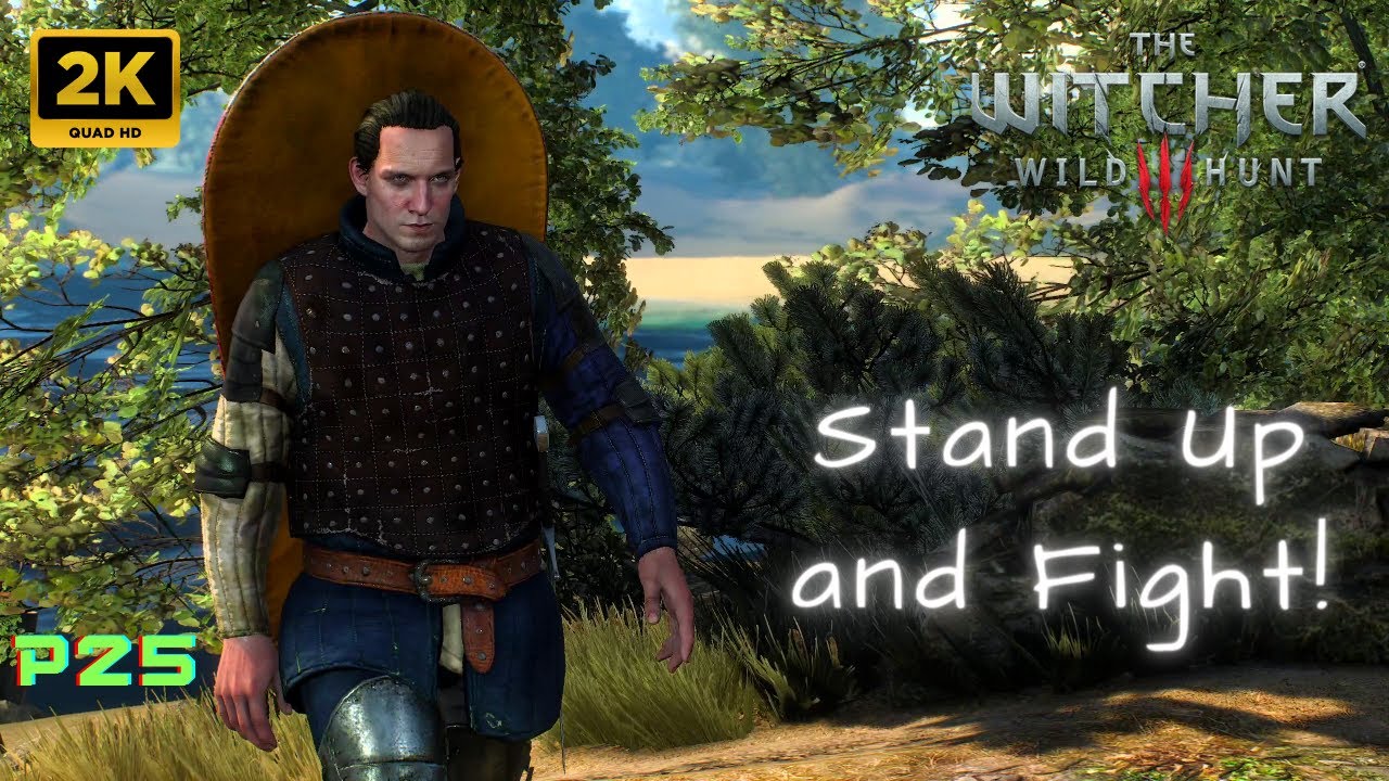 THE WITCHER 3: Wild Hunt - Ronvid of the Small Marsh. Part 25. Side ...
