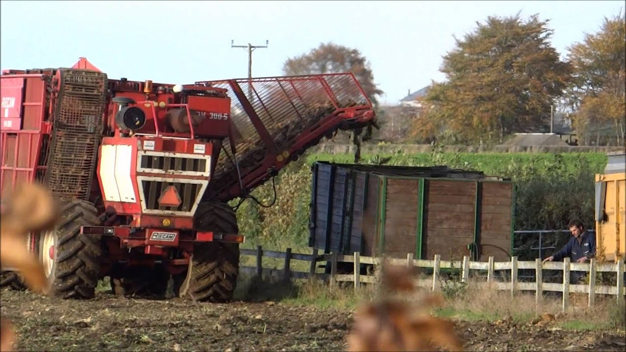 pulling beet in kildare 2012 - YouTube