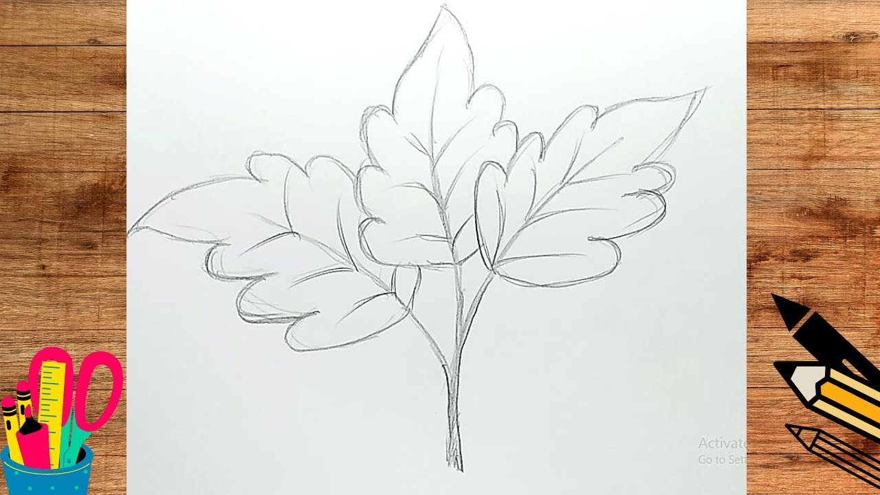 Easy To Draw Autumn Leaf - YouTube