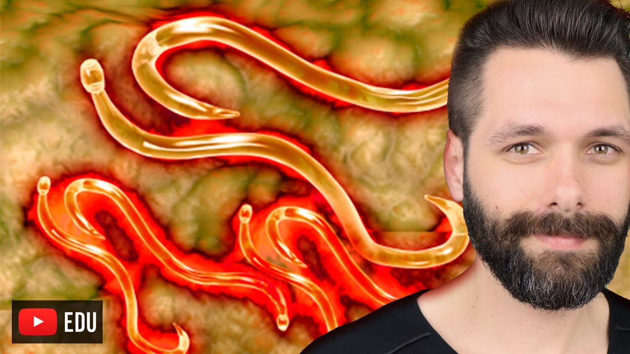 PARASITA MONOXENO E HETEROXENO - Ciclo de vida | BIOLOGIA COM SAMUEL ...